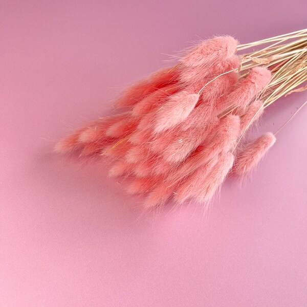 Bunny Tails - Etsy