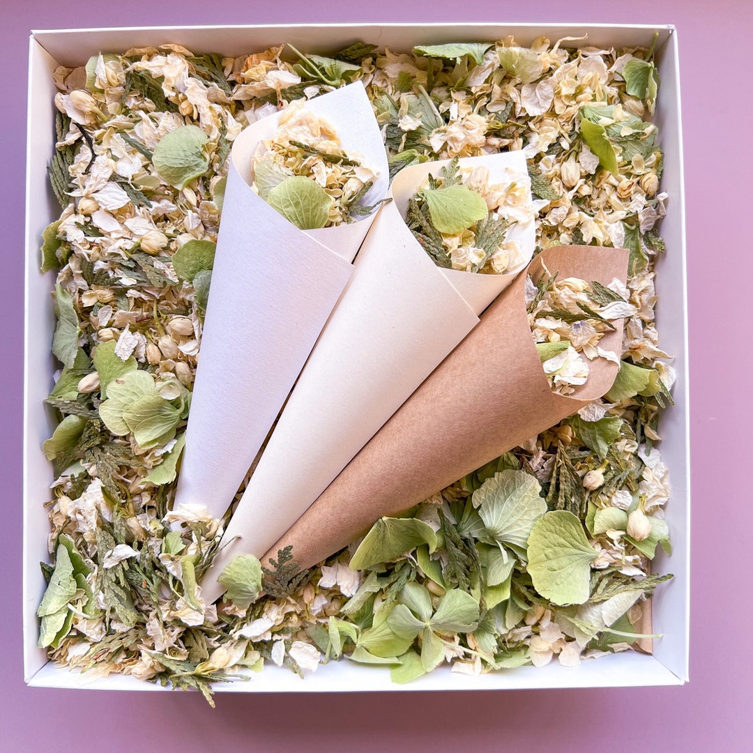 Real Dried Flower Petal Mix - Green and Ivory Dried Flower Petal ...