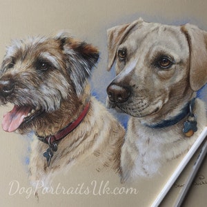Double Pet Portrait, Two Dogs Together From Separate Photos. - Etsy