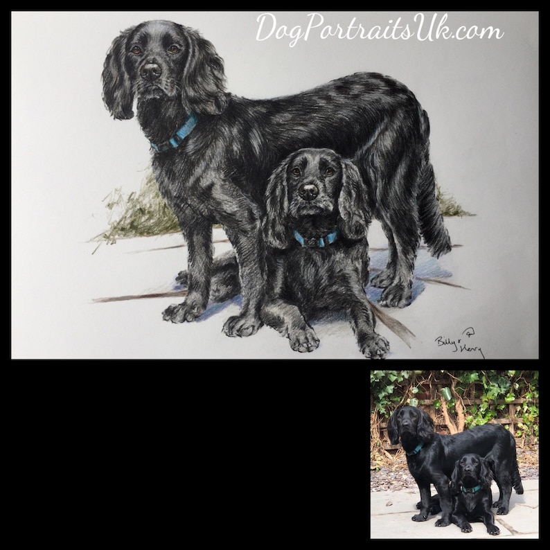 Double Pet Portrait Two Dogs Together From Separate Photos - Etsy