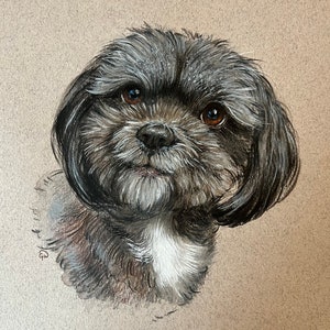Hand Drawn Pet Portrait Custom Dog Art - Etsy