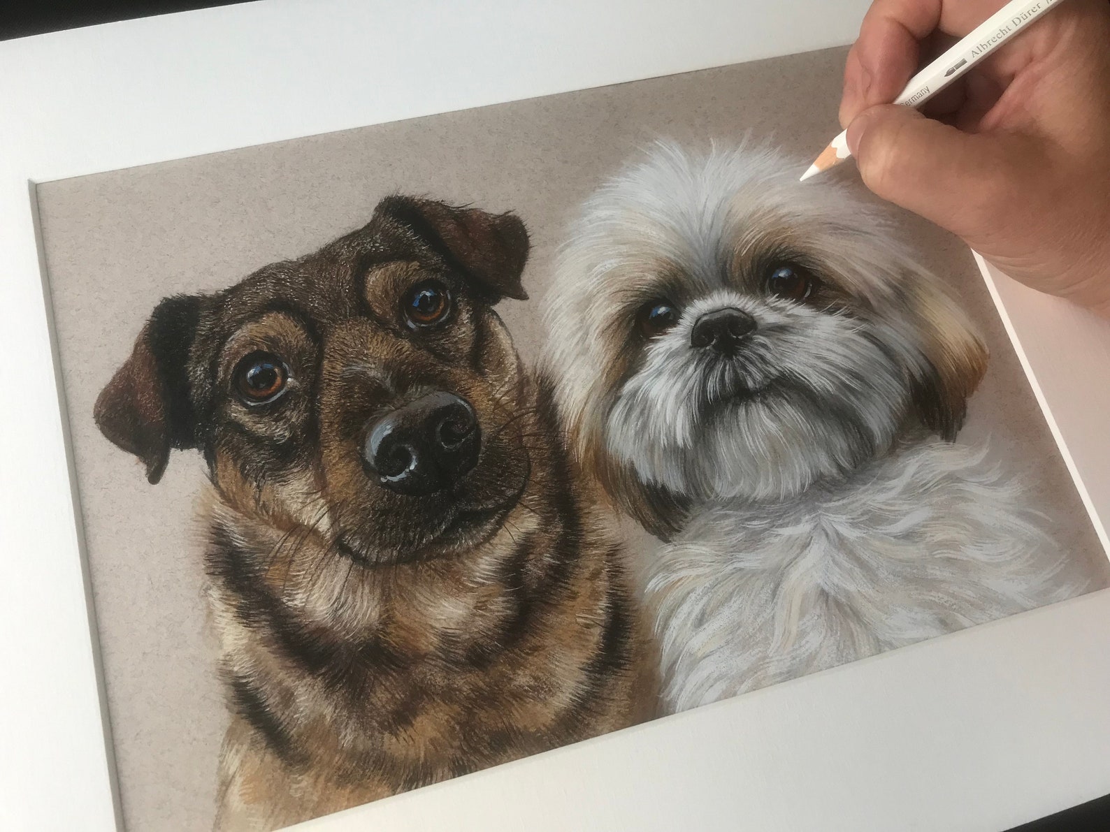 Double Pet Portrait Two Dogs Together From Separate Photos - Etsy