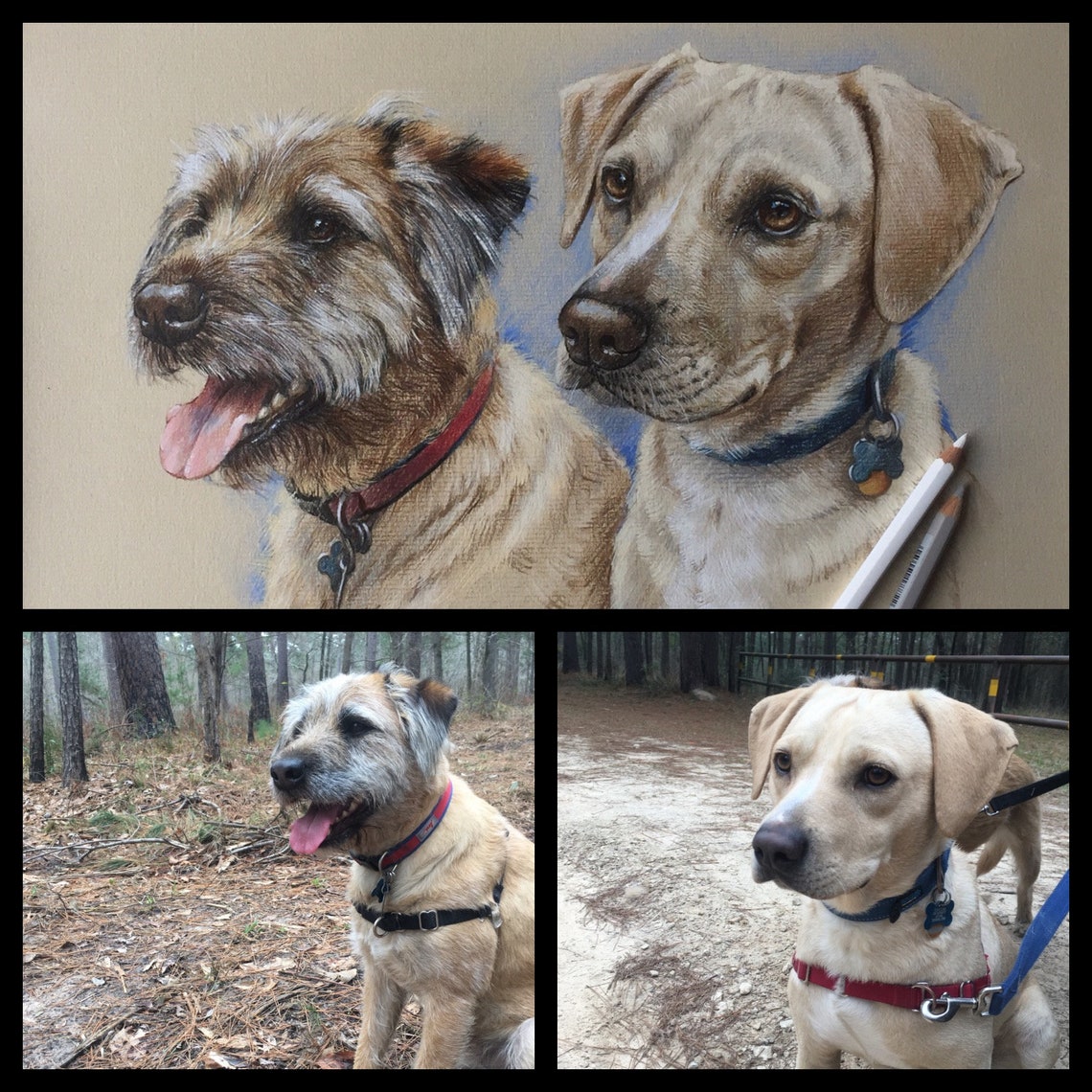Double Pet Portrait Two Dogs Together From Separate Photos - Etsy