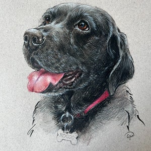 Hand Drawn Pet Portrait Custom Dog Art - Etsy