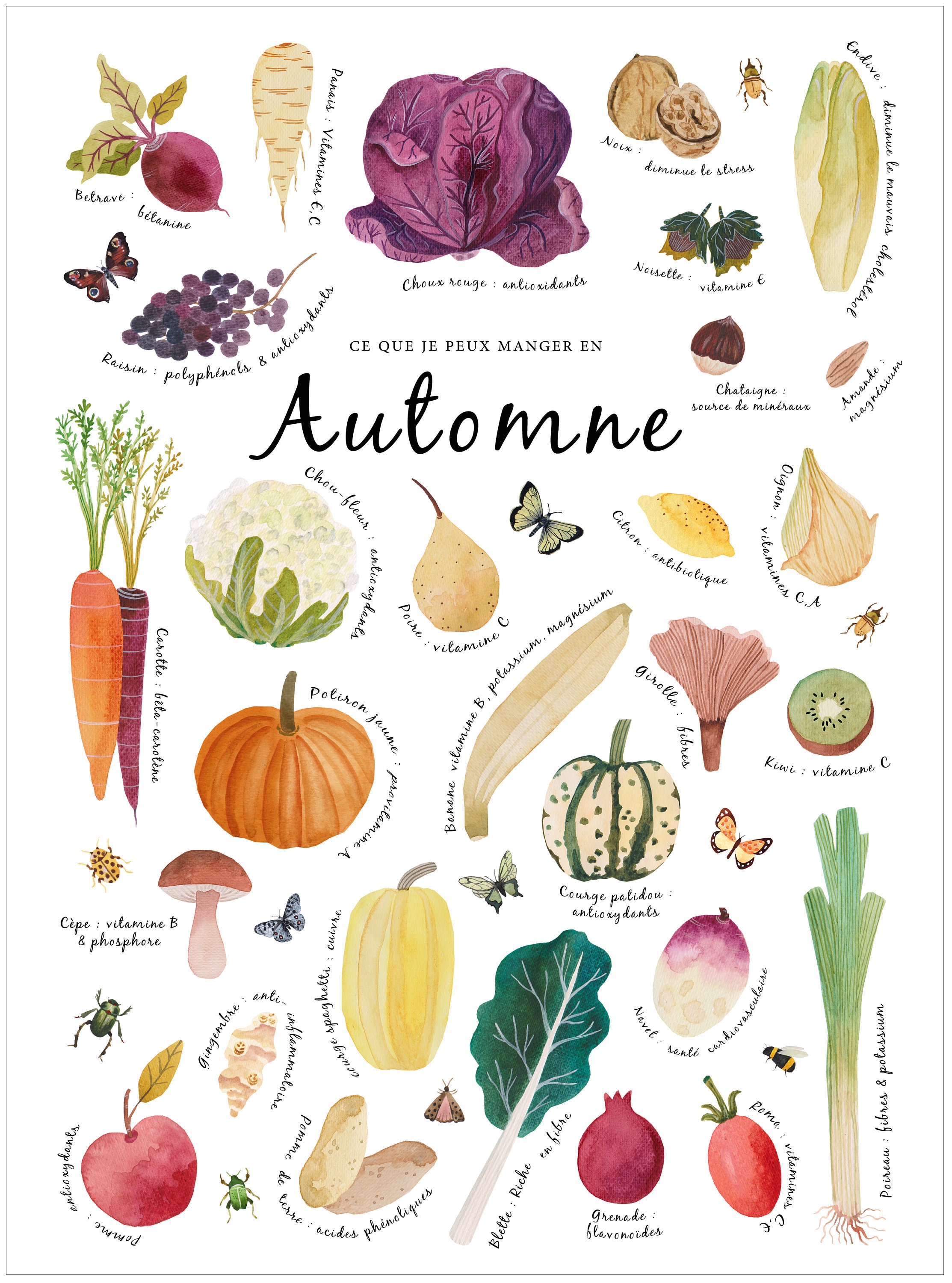 Art Print Fruits and Vegetables Fine Art Artwork Home - Etsy