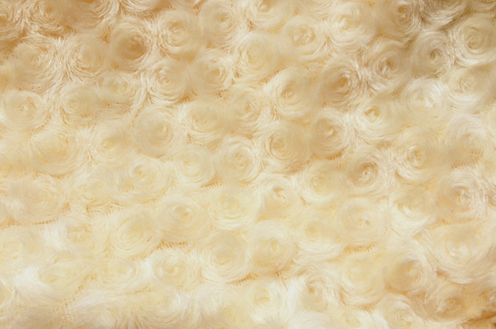 Rose Rosette Backdrop Plush Fabric for Baby Newborn Photo Prop - Etsy