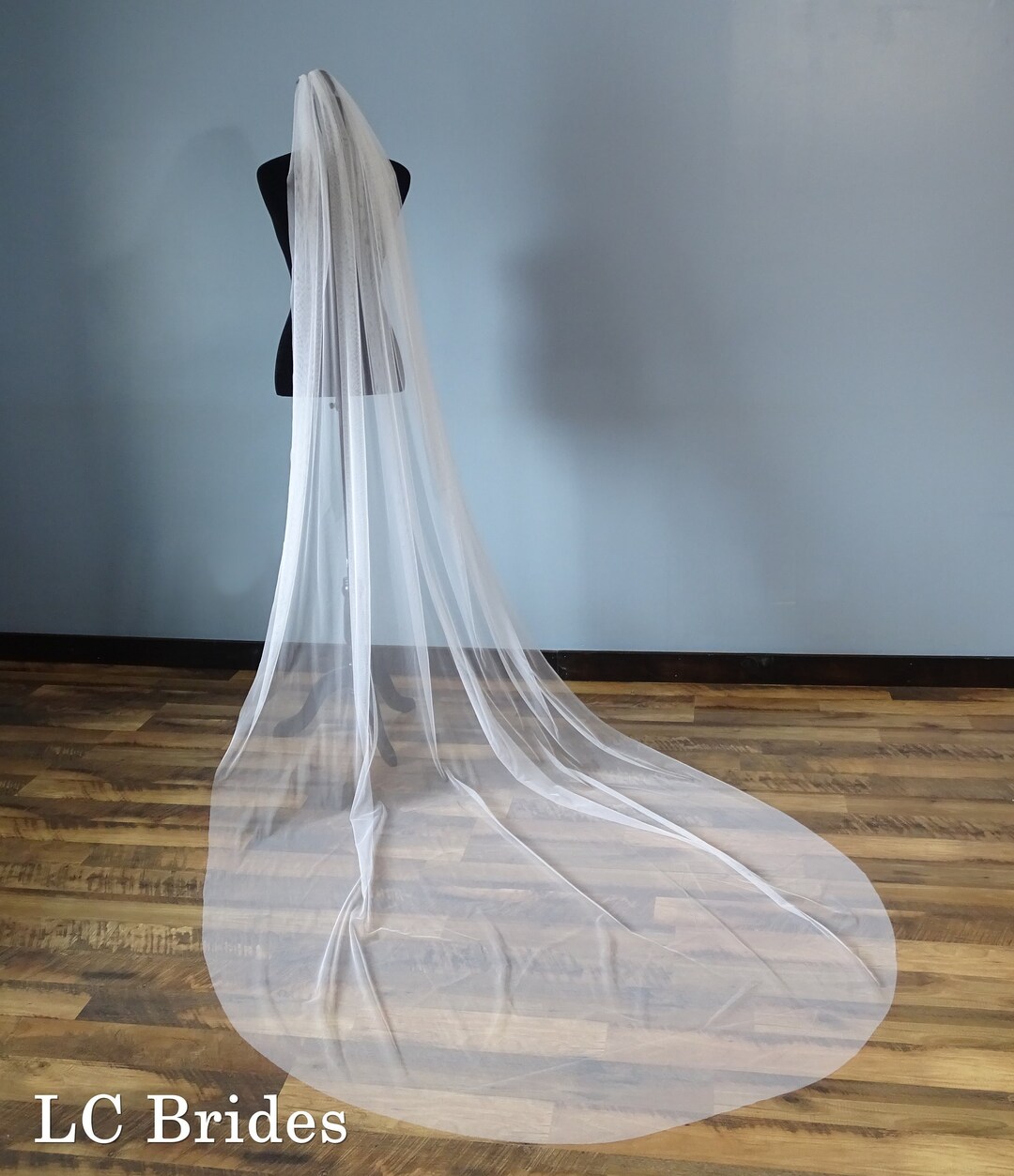 CHRISTINA | Soft Cathedral Length Wedding Veil, English Net, Long ...