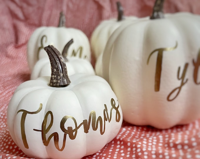 Pumpkin Place Cards Pumpkin Table Setting Mini Pumpkin - Etsy