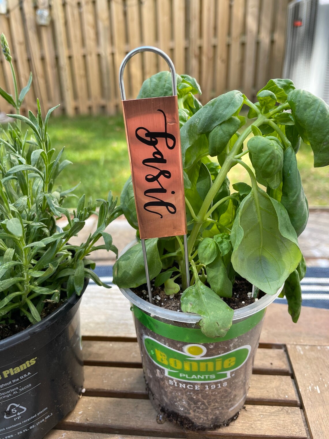 Copper Garden Labels Plant Markers Set Herb Labels - Etsy