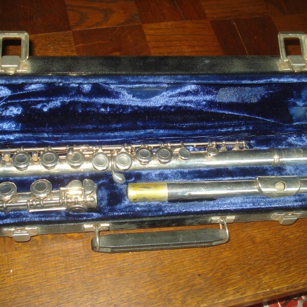 Flute Case - Etsy