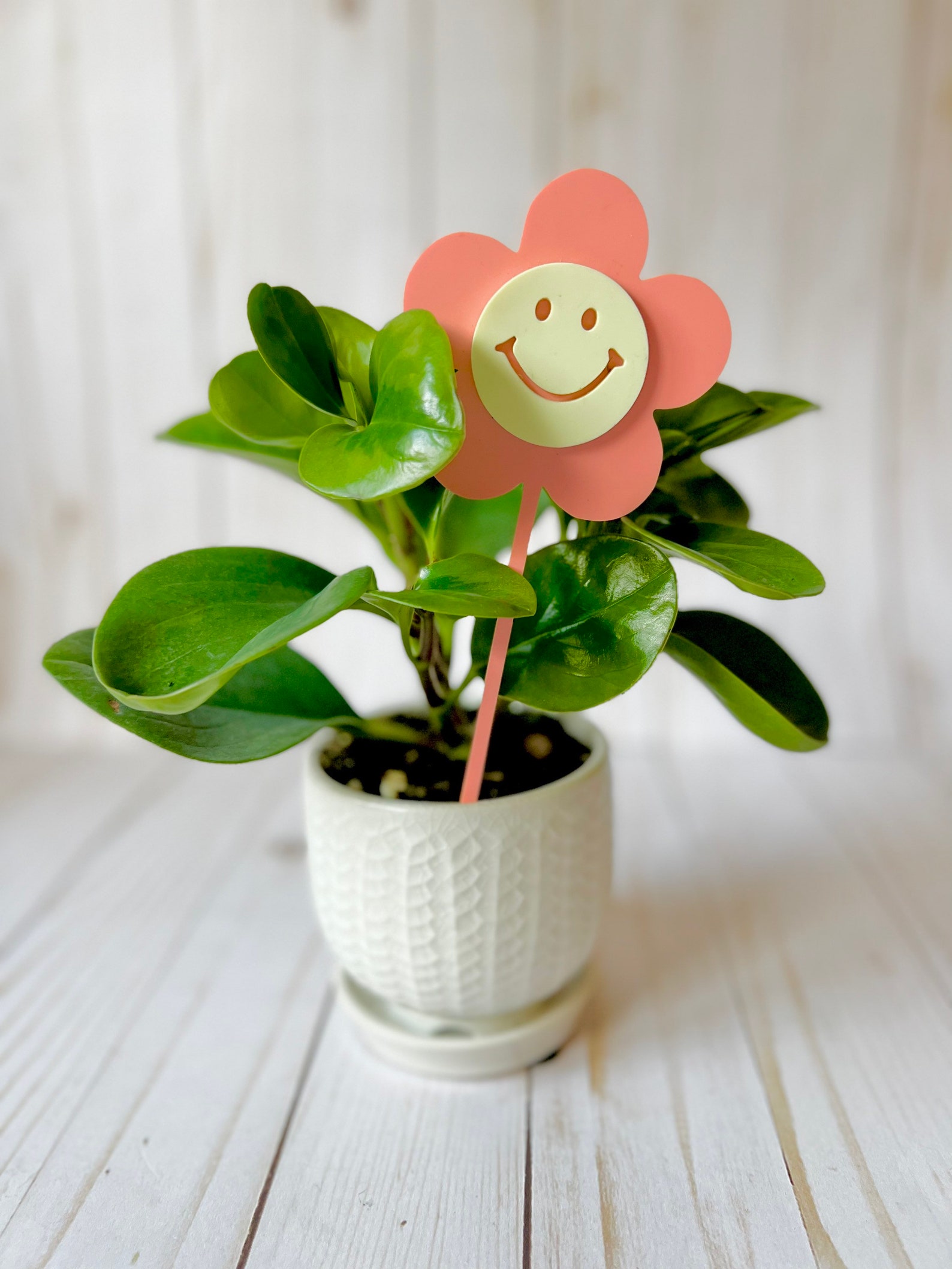 Smiley Face Cake Toppers or Smily Plant Pick - Etsy