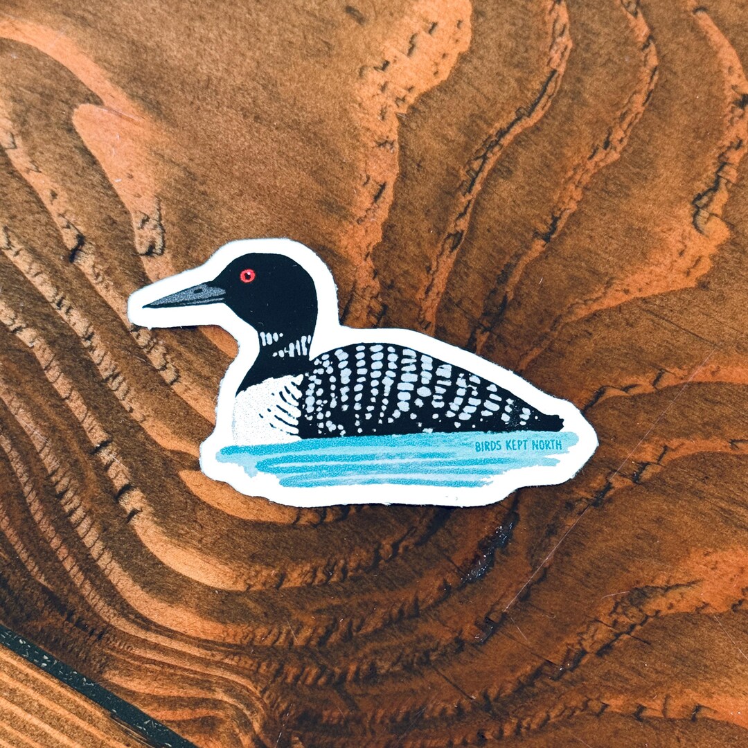 Loon Sticker, Vinyl Sticker, Die-cut Sticker, Minnesota State Bird ...