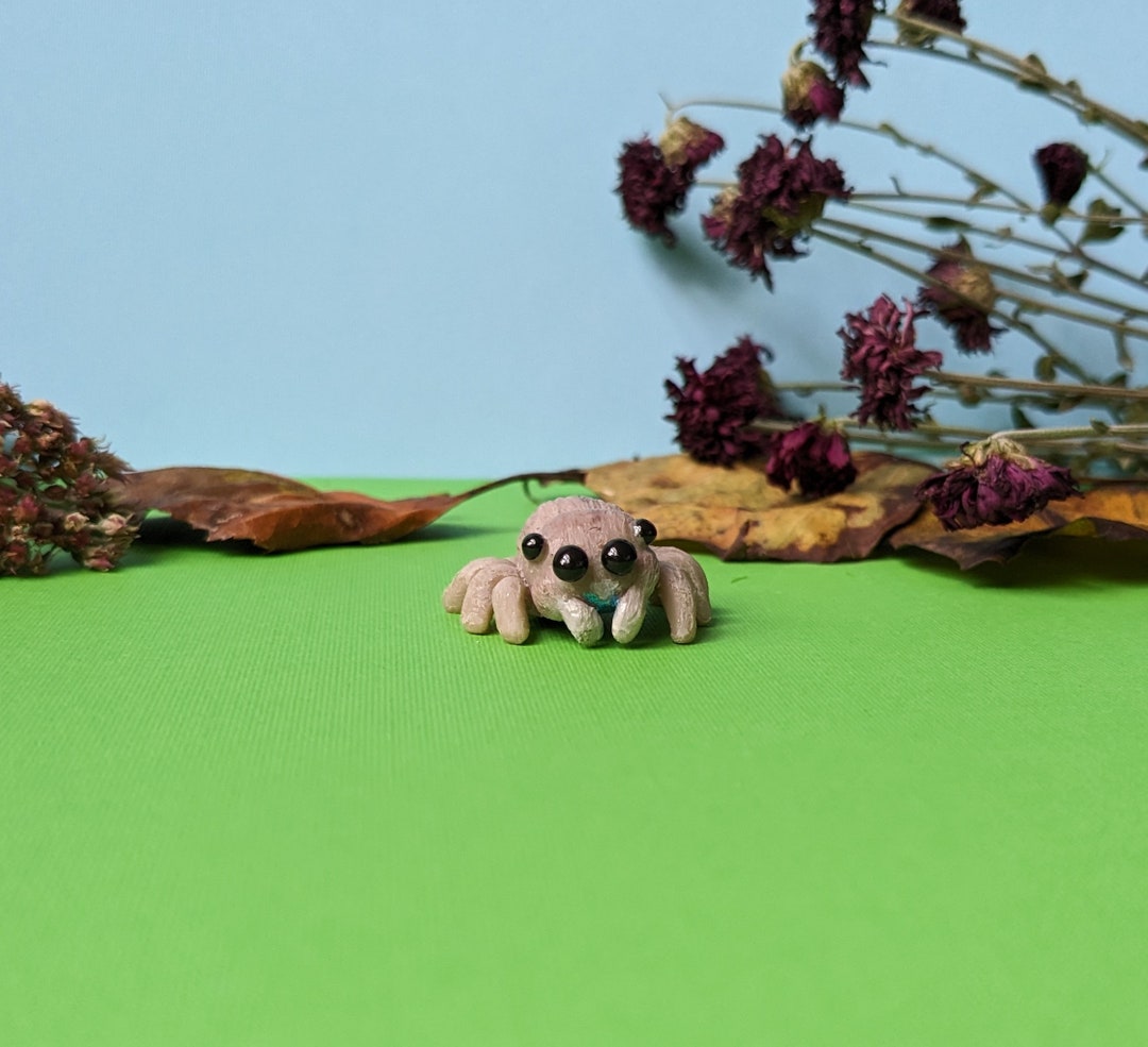 Adopt a Jumping Spider - Etsy