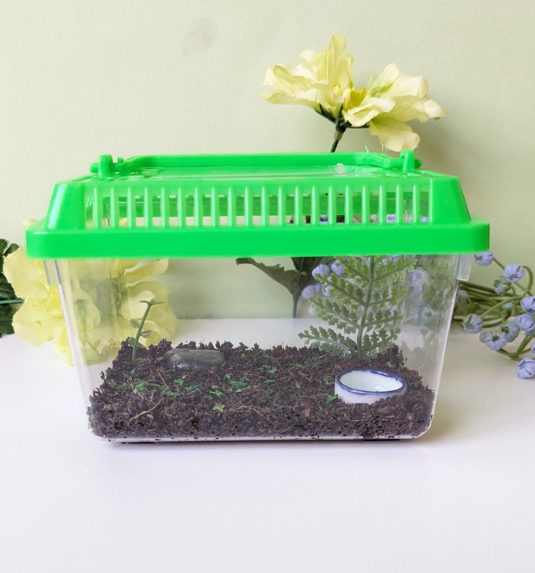 Critter Keeper Deluxe Terrarium - Etsy