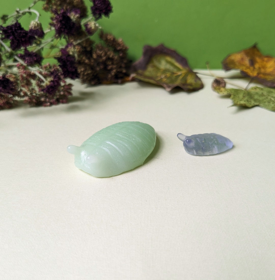 Adopt a Leaf Slug Duo - Etsy