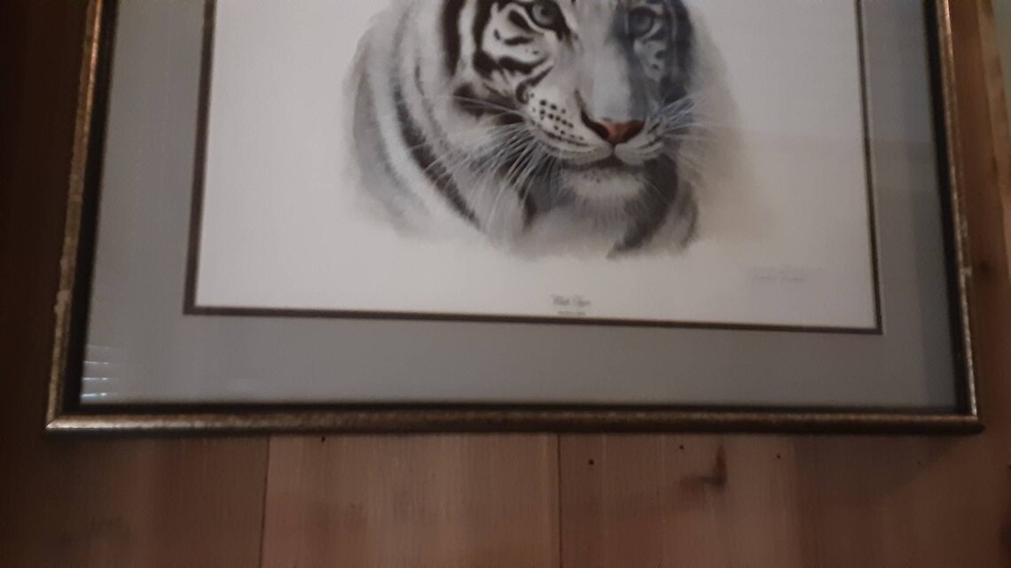 Charles Frace' White Tiger Framed Print/ Signed Artist Charles Frace ...