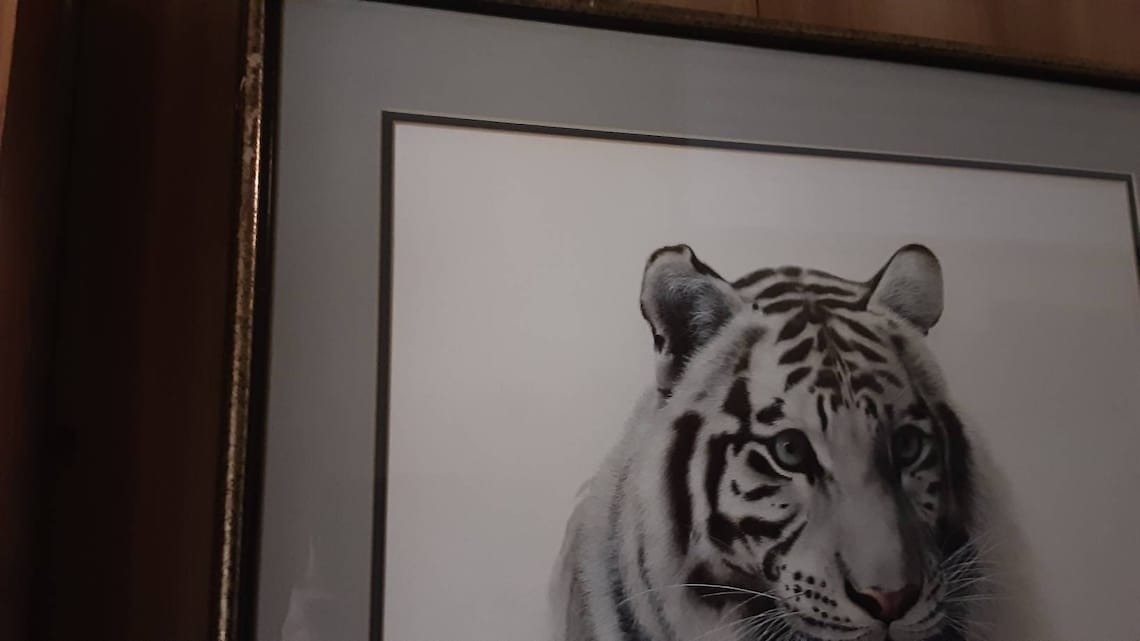Charles Frace' White Tiger Framed Print/ Signed Artist | Etsy
