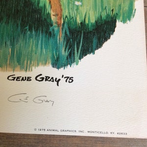 1975 White Tailed Fawns by Gene Gray/collector Series II Plate 5 GENE ...