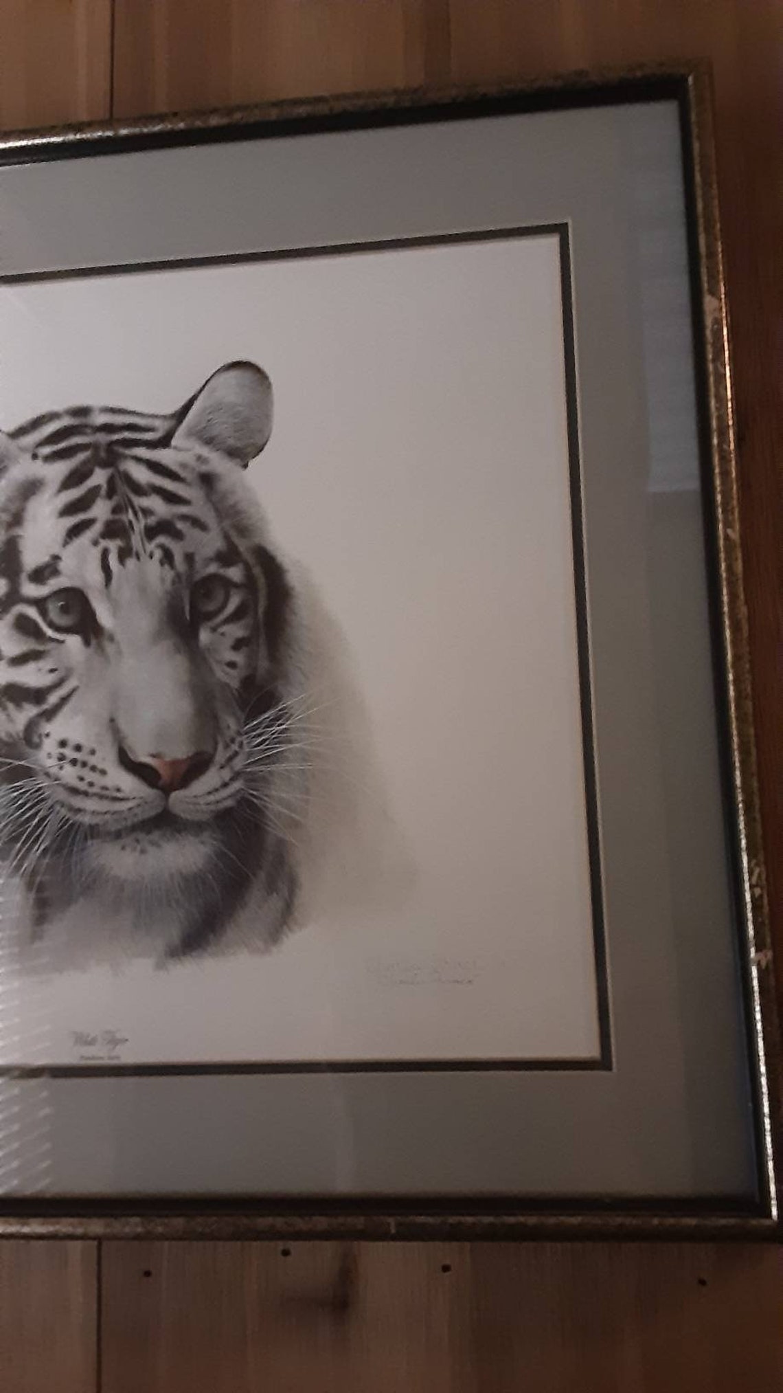 Charles Frace' White Tiger Framed Print/ Signed Artist Charles Frace ...