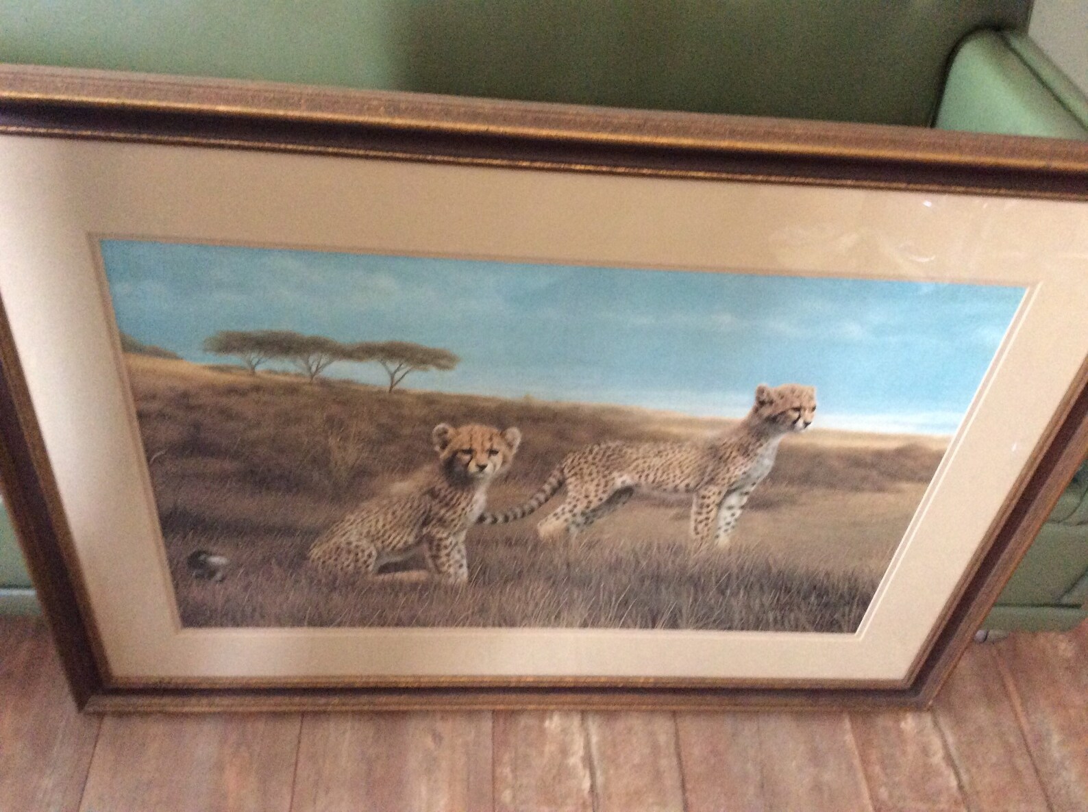 Artist Charles Frace Title Recess Cheetah Picture /signed and | Etsy