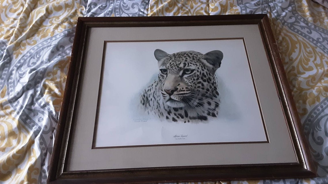 Charles Frace' African Leopard Framed Print/ African Leopard by Charles ...