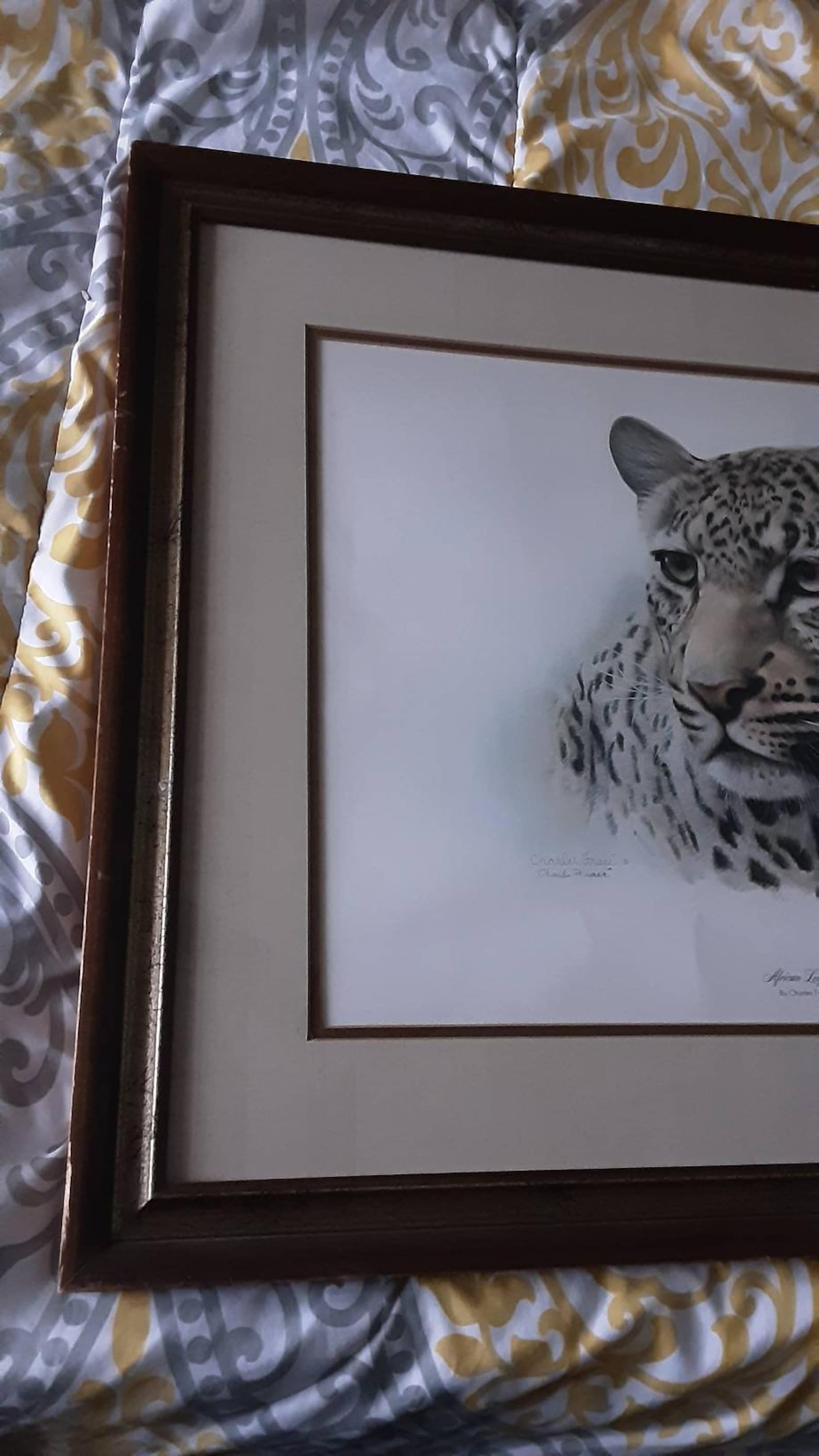 Charles Frace' African Leopard Framed Print/ African Leopard by Charles ...