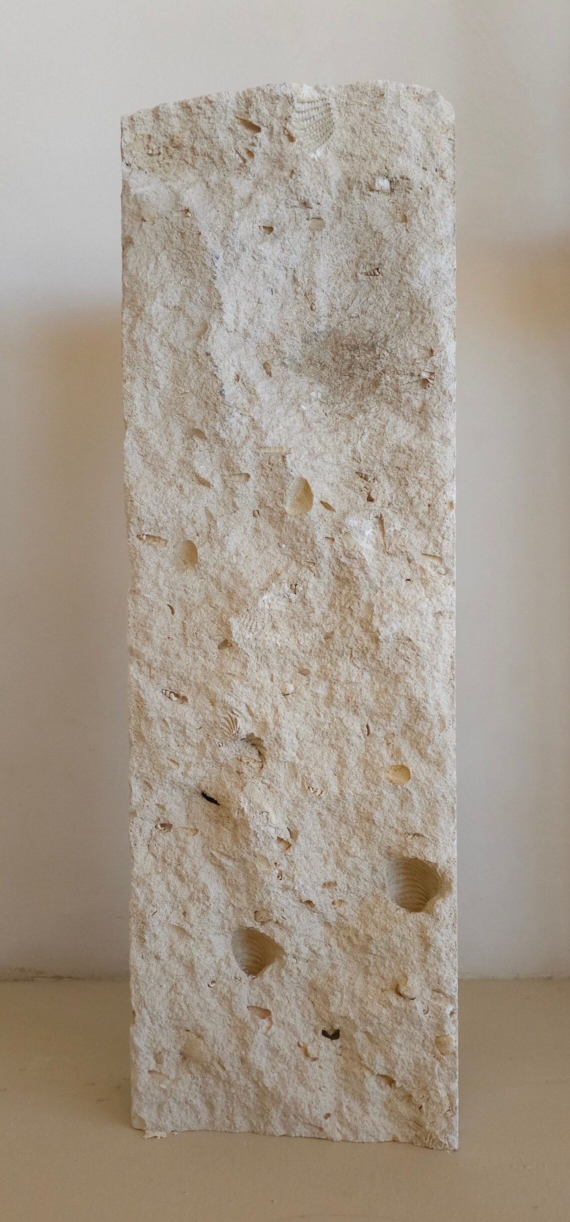 Limestone With Seashell Shells Imprint Pedestal Column - Etsy