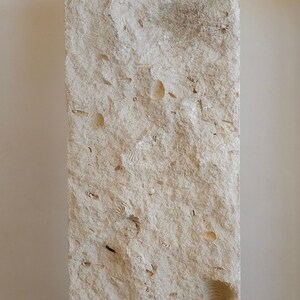 Limestone With Seashell Shells Imprint Pedestal Column - Etsy