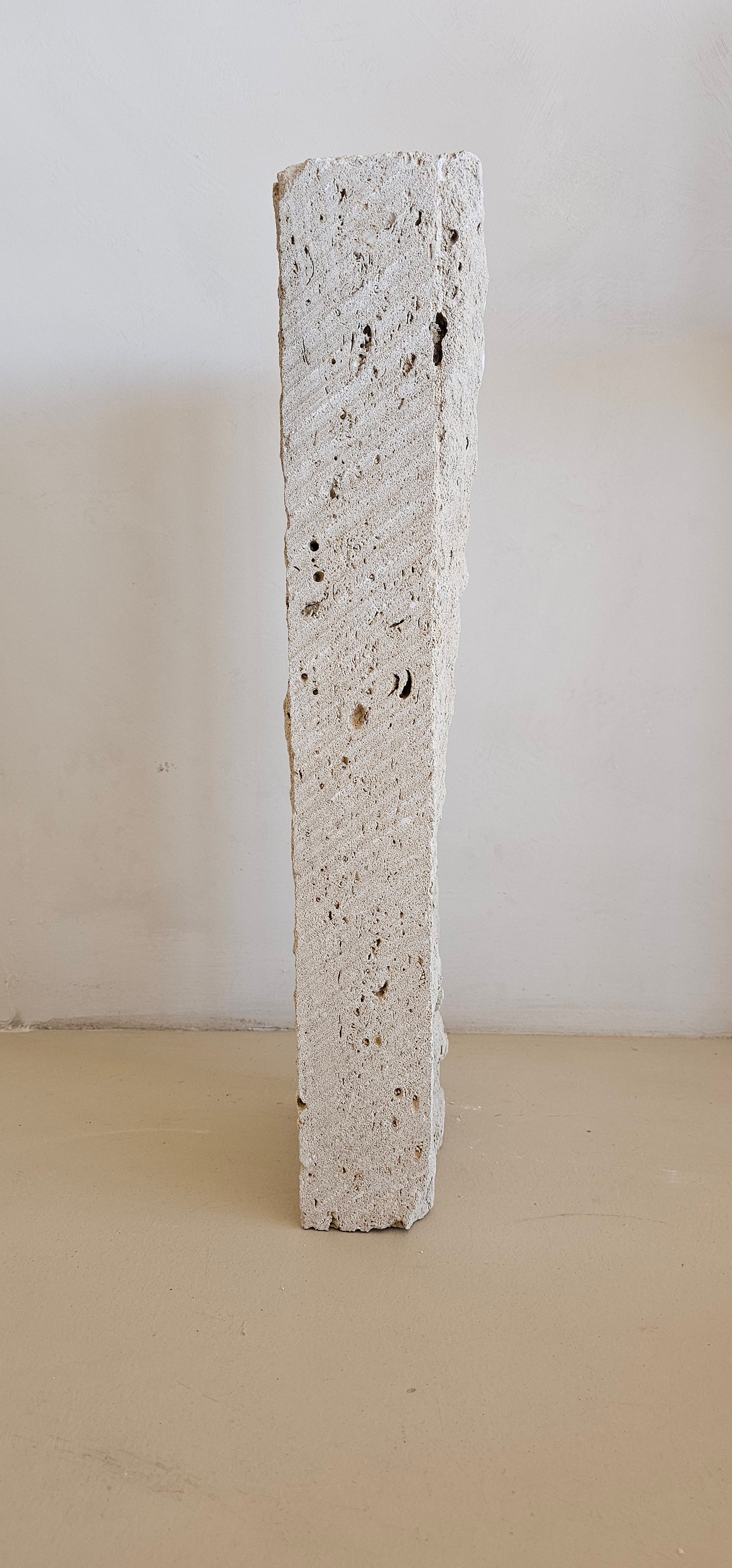Limestone With Seashell Shells Imprint Pedestal Column - Etsy