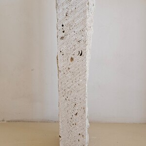 Limestone With Seashell Shells Imprint Pedestal Column - Etsy