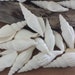 White Shells Seashells Shells Craft Shells Bulk Shells - Etsy