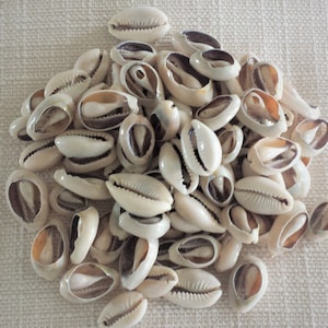 Cowrie Shells, 100 Cowrie Beads, Shell Beads, Cut Shells, Seashells ...