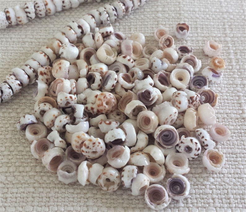 Small Tiger Puka Shell Beads Shell Beads Puka Shell Beads - Etsy