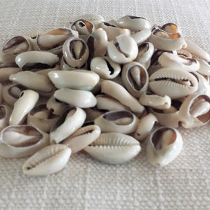 Cowrie Shells, 100 Cowrie Beads, Shell Beads, Cut Shells, Seashells ...