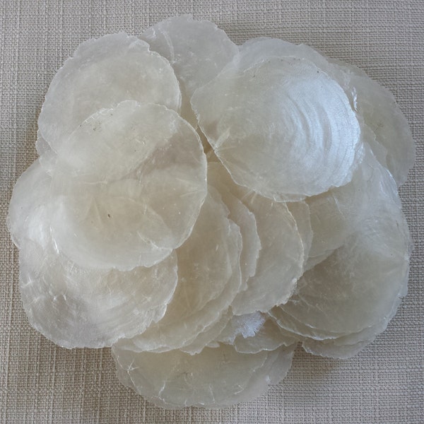 Capiz Shells - Etsy