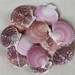 Small Shells Craft Shells Beach Decor Seashells Shells - Etsy