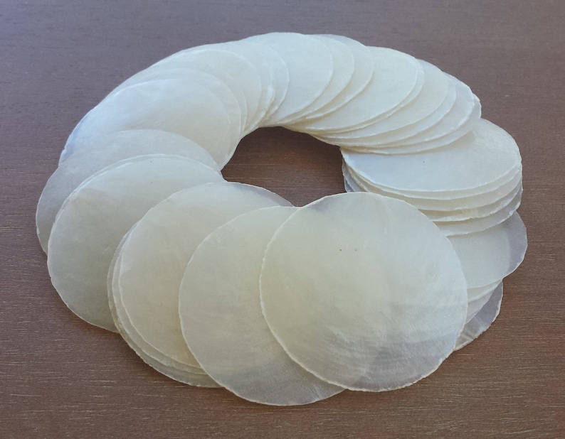 Capiz Shells Seashells Shells Beach Decor Home Decor Craft - Etsy