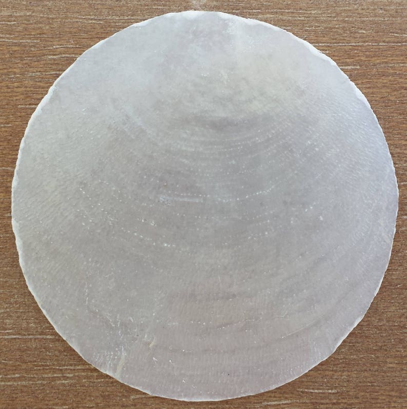 Capiz Shells Seashells Shells Beach Decor Home Decor Craft - Etsy