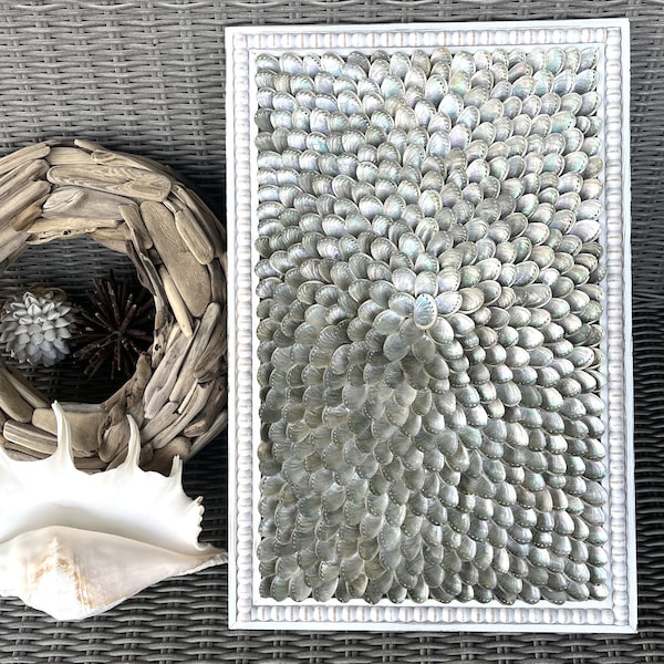 Shell Wall Art - Etsy