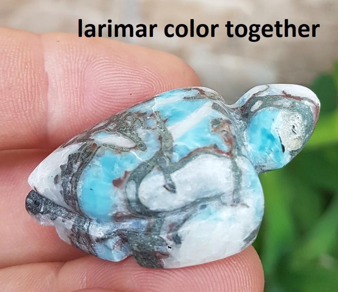 Exotic Natural Design LARIMAR TURTLE Carved Gemstone for Decoration 29 ...