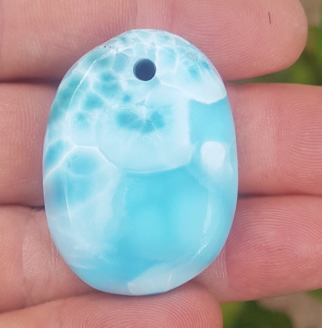 Uniq One on the World Turtle Pattern BLUE Larimar Carved Gemstone ...