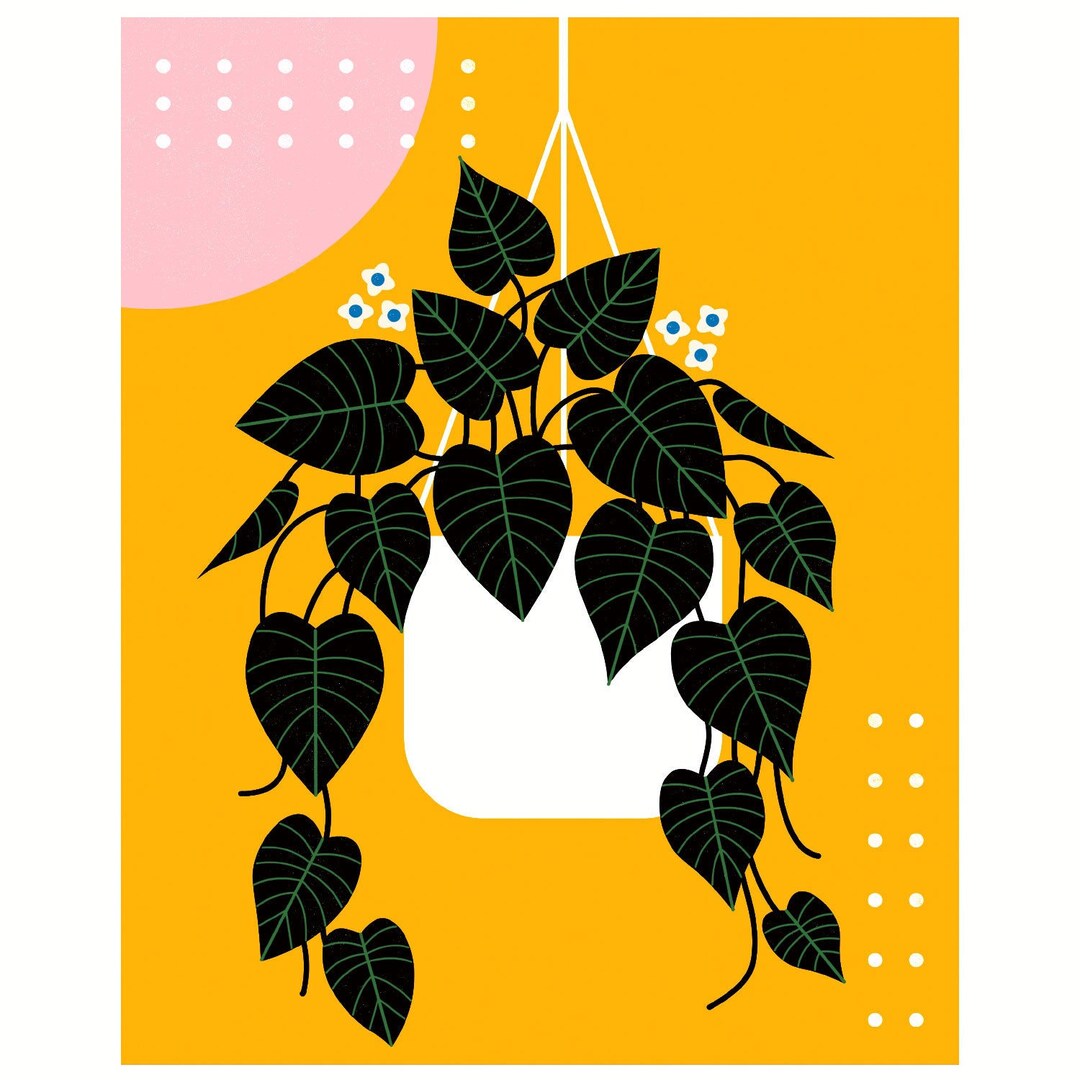Trailing Pothos Art Print 5x7, 8x10, 11x14, 16x20 Art Print Mid-century ...