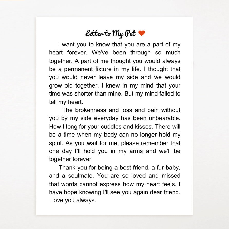 Pet Loss A2 Greeting Card With letter to My Pet - Etsy
