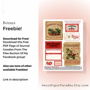 30 Piece Fruit Themed Journal Card and Label Kit, Tattered Journal ...