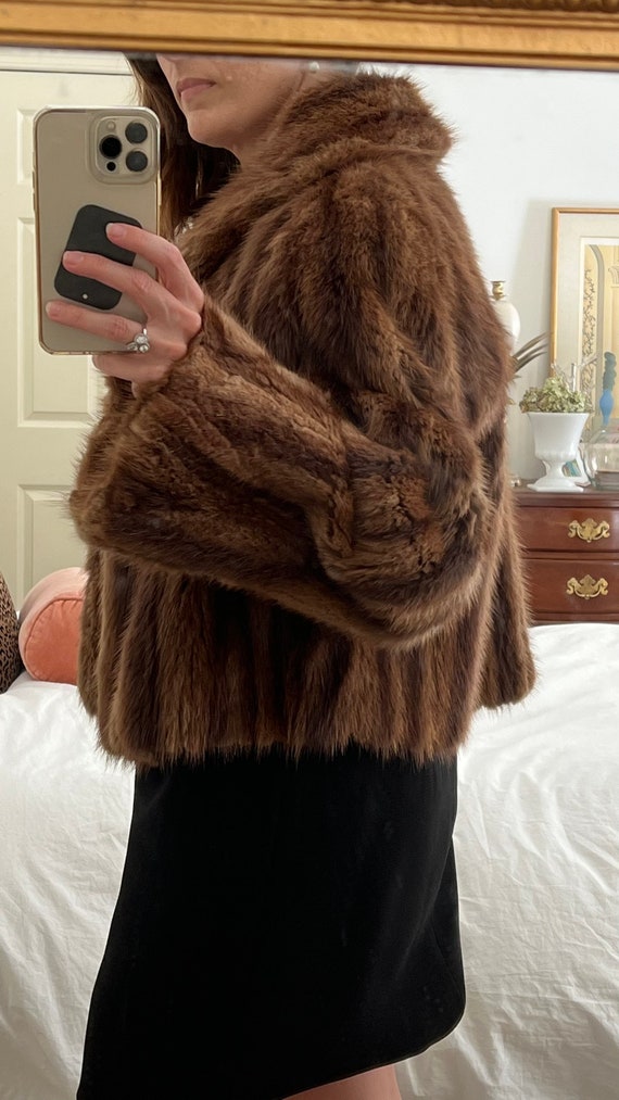 vintage beaver short fur - Gem