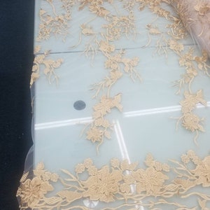 Gold Application Lace With See Thru Background Tulle to Blend With All ...