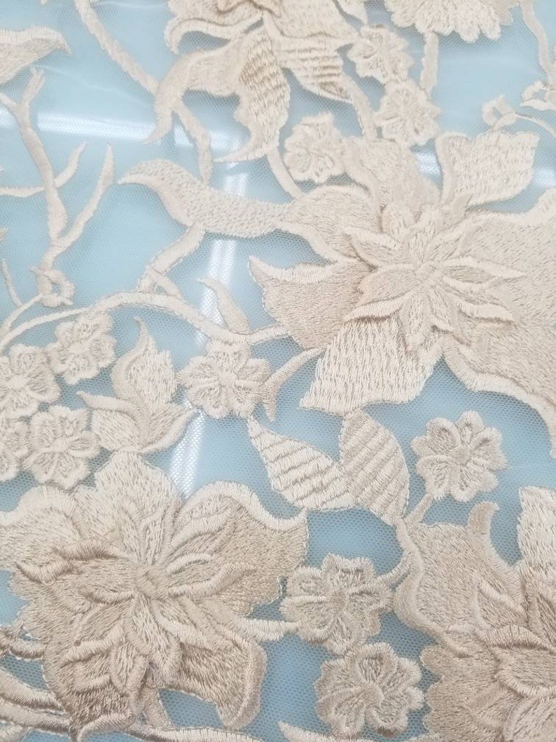 Gold Application Lace With See Thru Background Tulle to Blend - Etsy