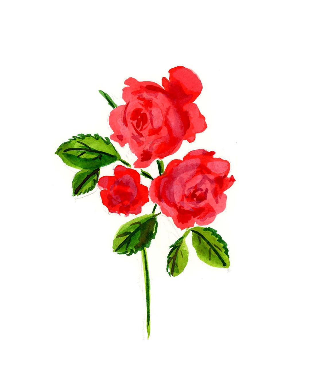 Art Print: Triple Rose {cute Wall Art, Home Decorating, Original ...