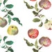 Wrapping Paper: Apple Chinoiserie Wrap christmas Holiday - Etsy