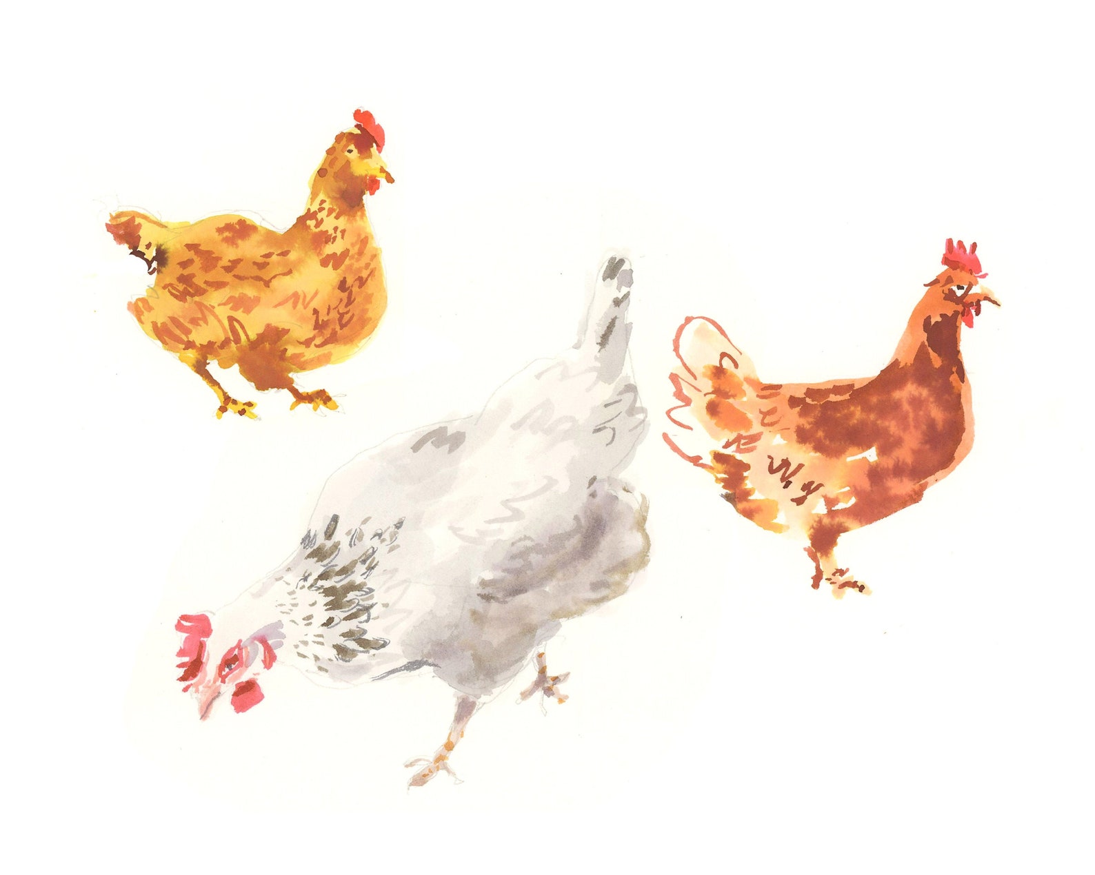 Art Print: Three French Hens kitchen Art Hens Painting - Etsy
